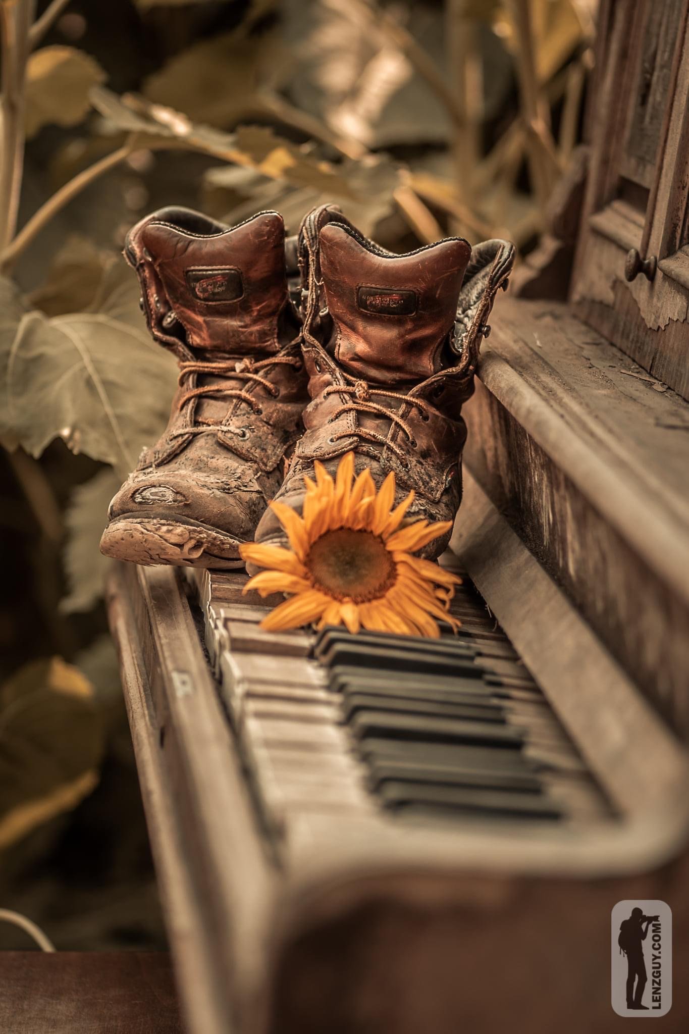 Locations — FISH SUNFLOWERS