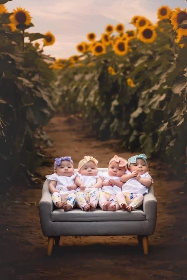 Gallery — FISH SUNFLOWERS