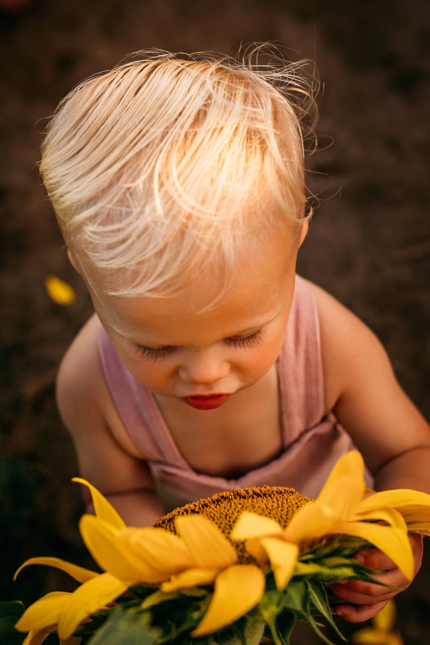 Gallery — FISH SUNFLOWERS