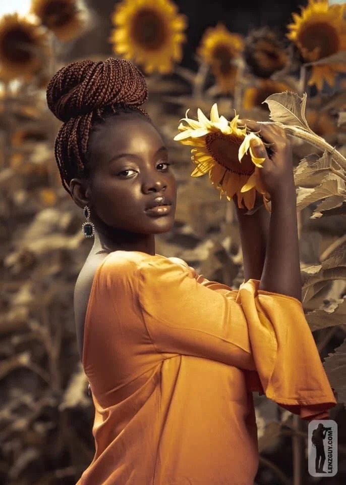 Gallery — FISH SUNFLOWERS