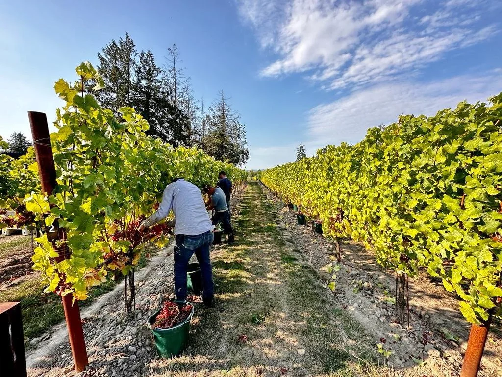 About Us — Öömrang is a boutique winery and distillery that specializes ...