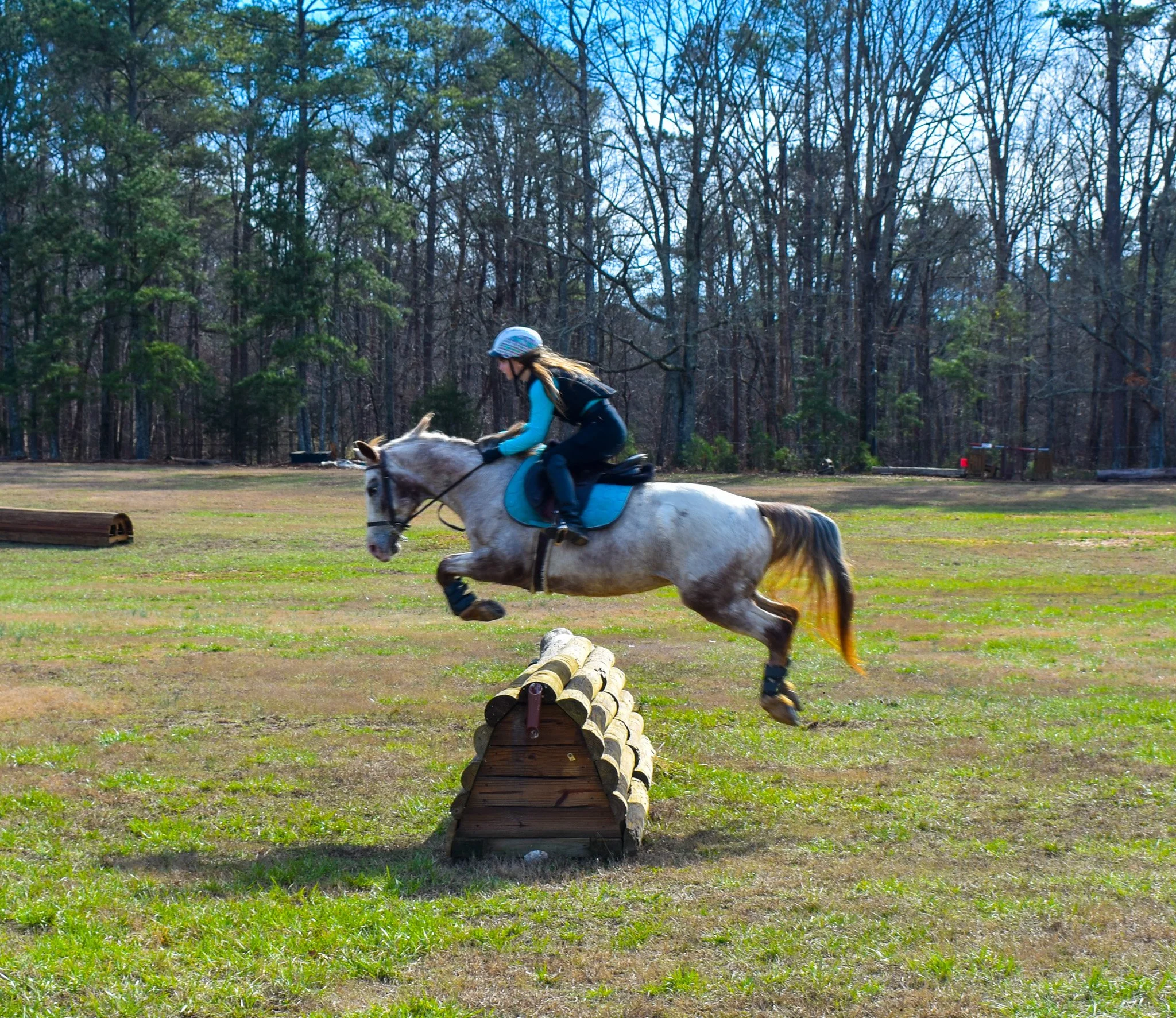 Horses — Celestial Riding Academy
