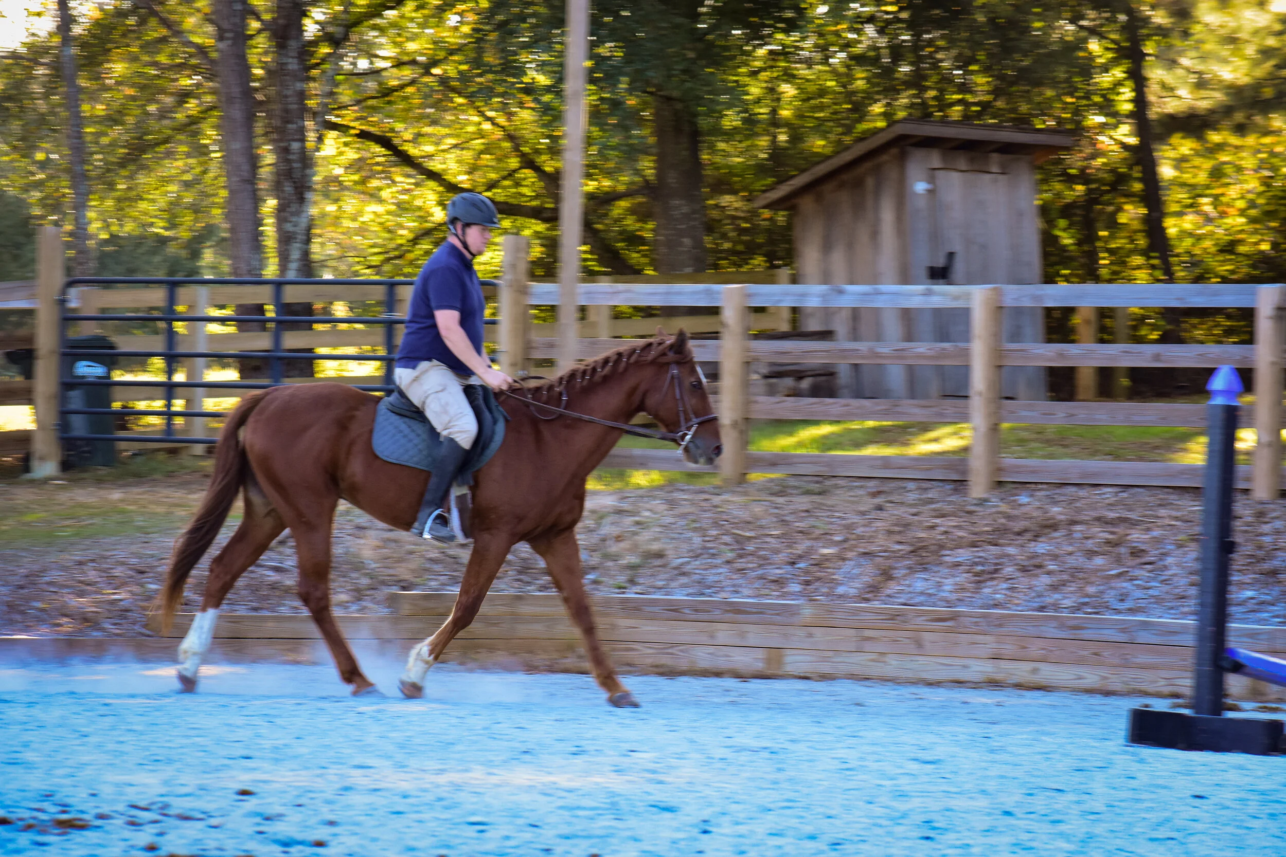 Gallery — Celestial Riding Academy