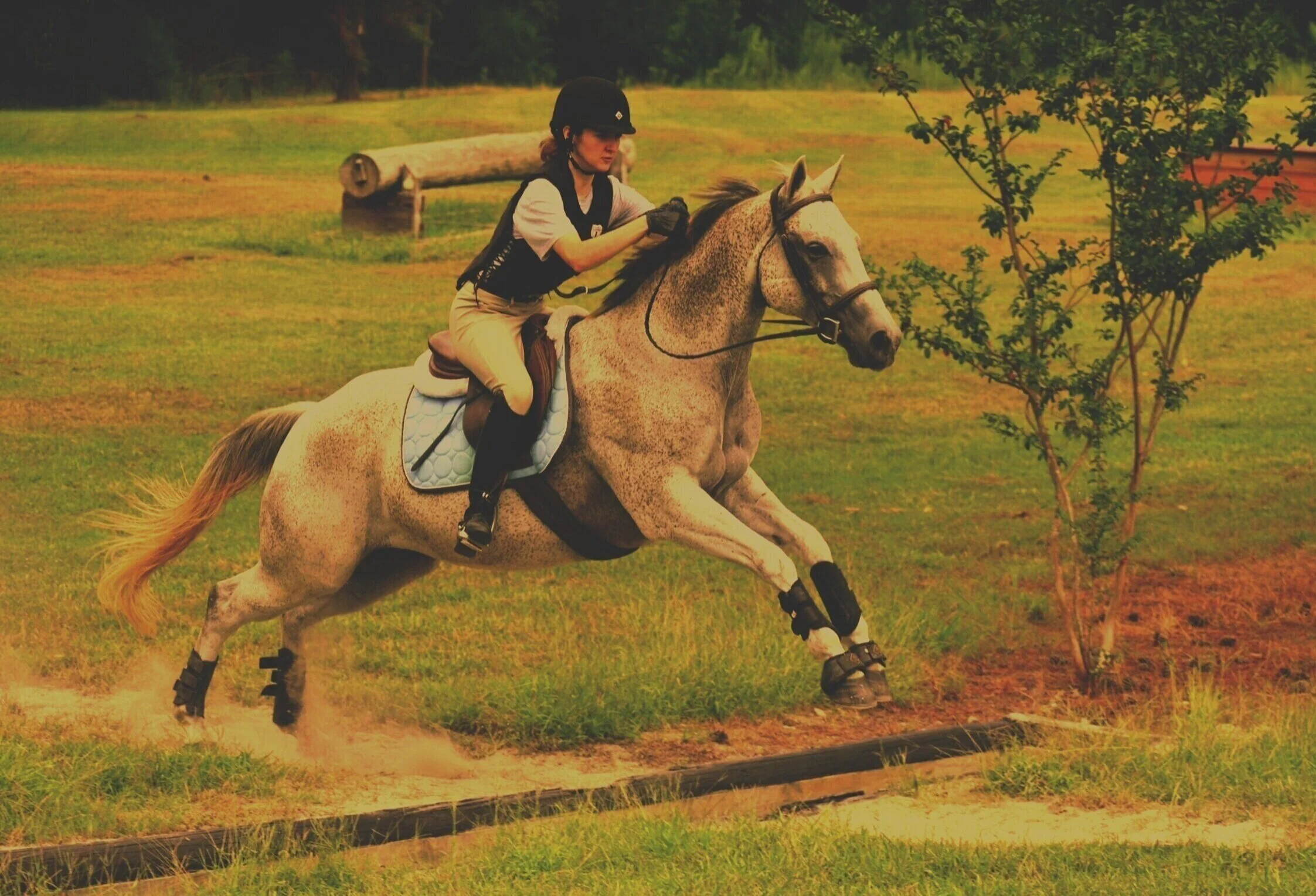 Celestial Riding Academy