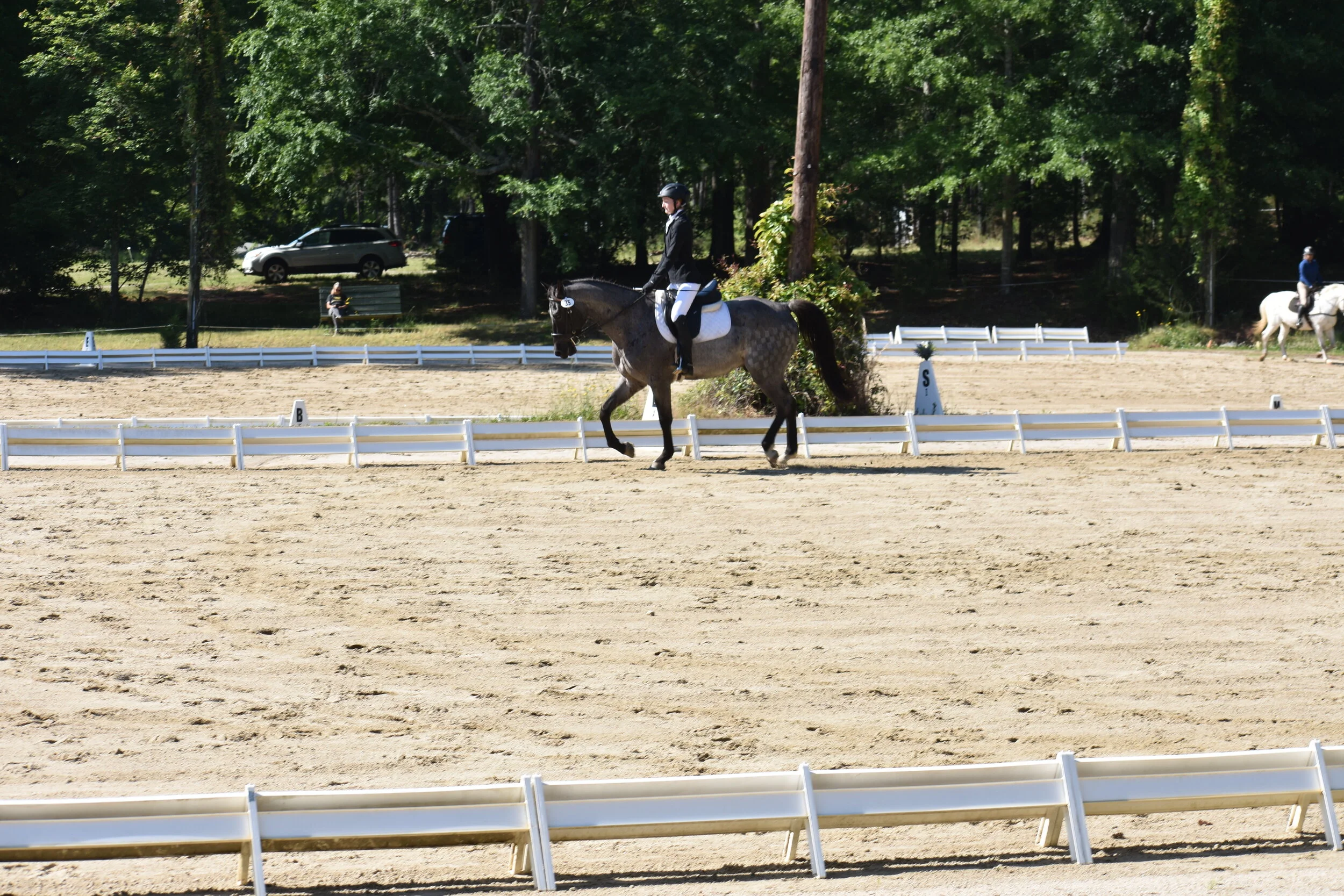 Gallery — Celestial Riding Academy