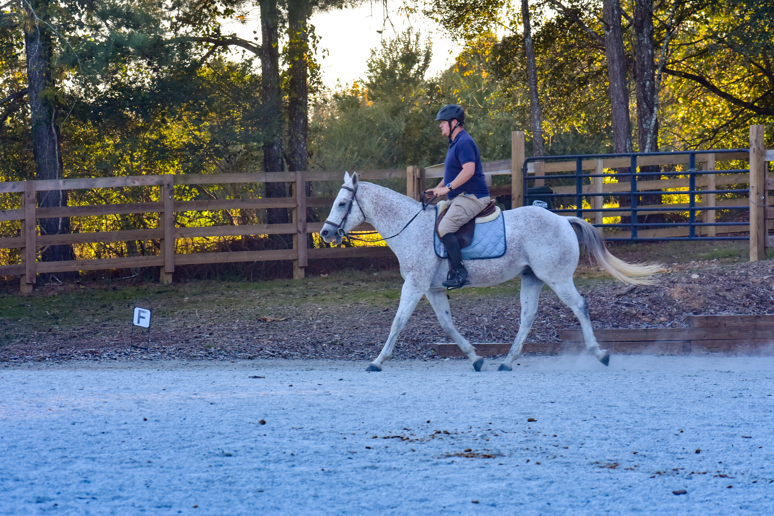 Gallery — Celestial Riding Academy