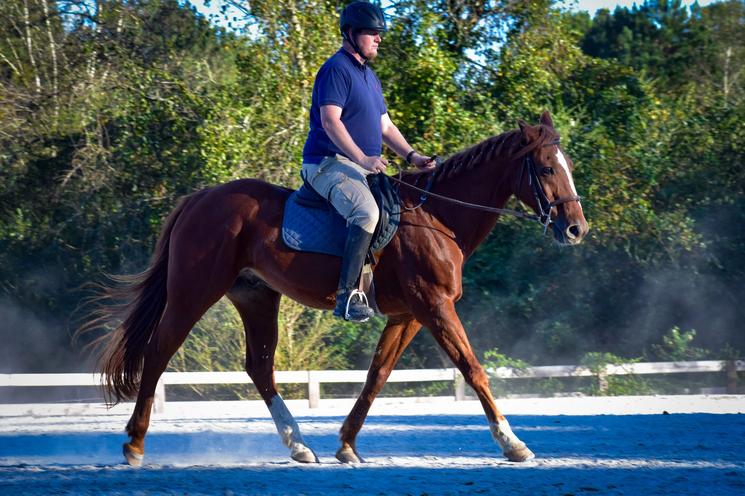 Gallery — Celestial Riding Academy