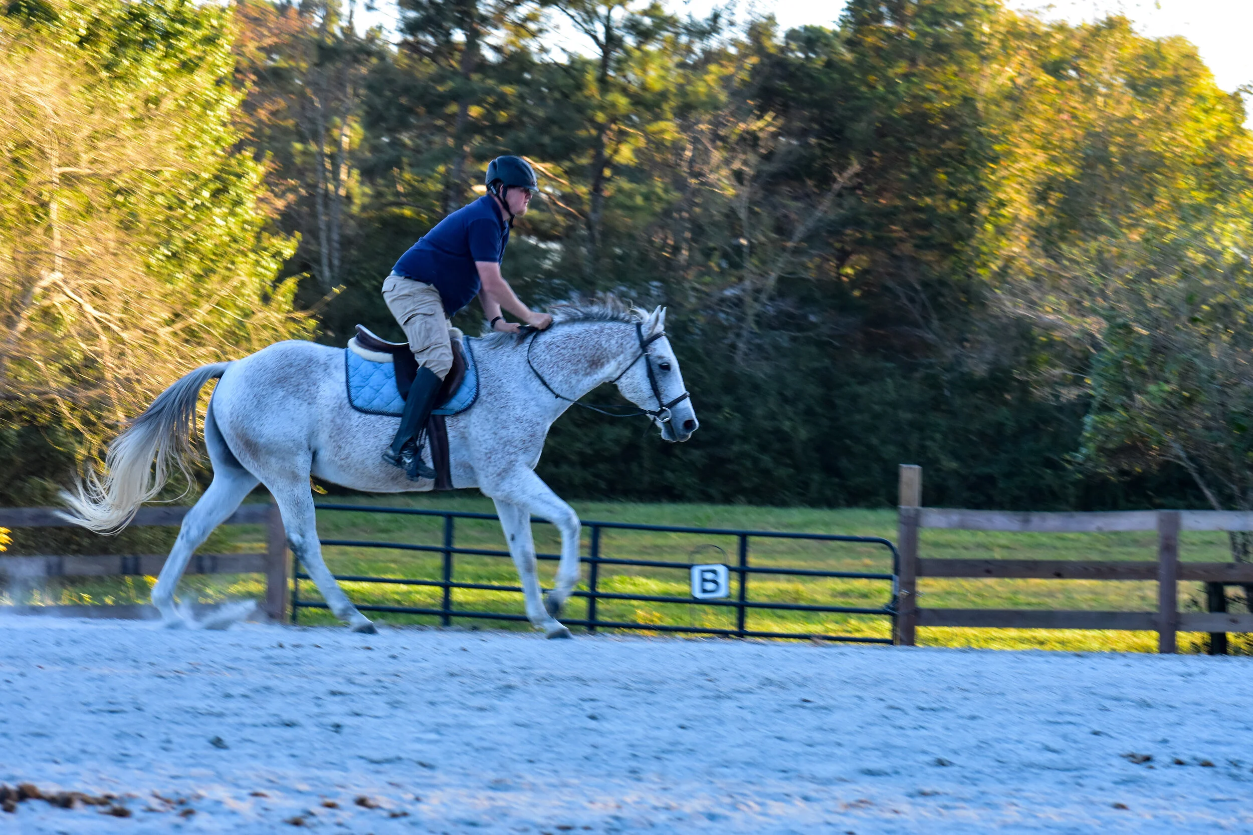 Gallery — Celestial Riding Academy