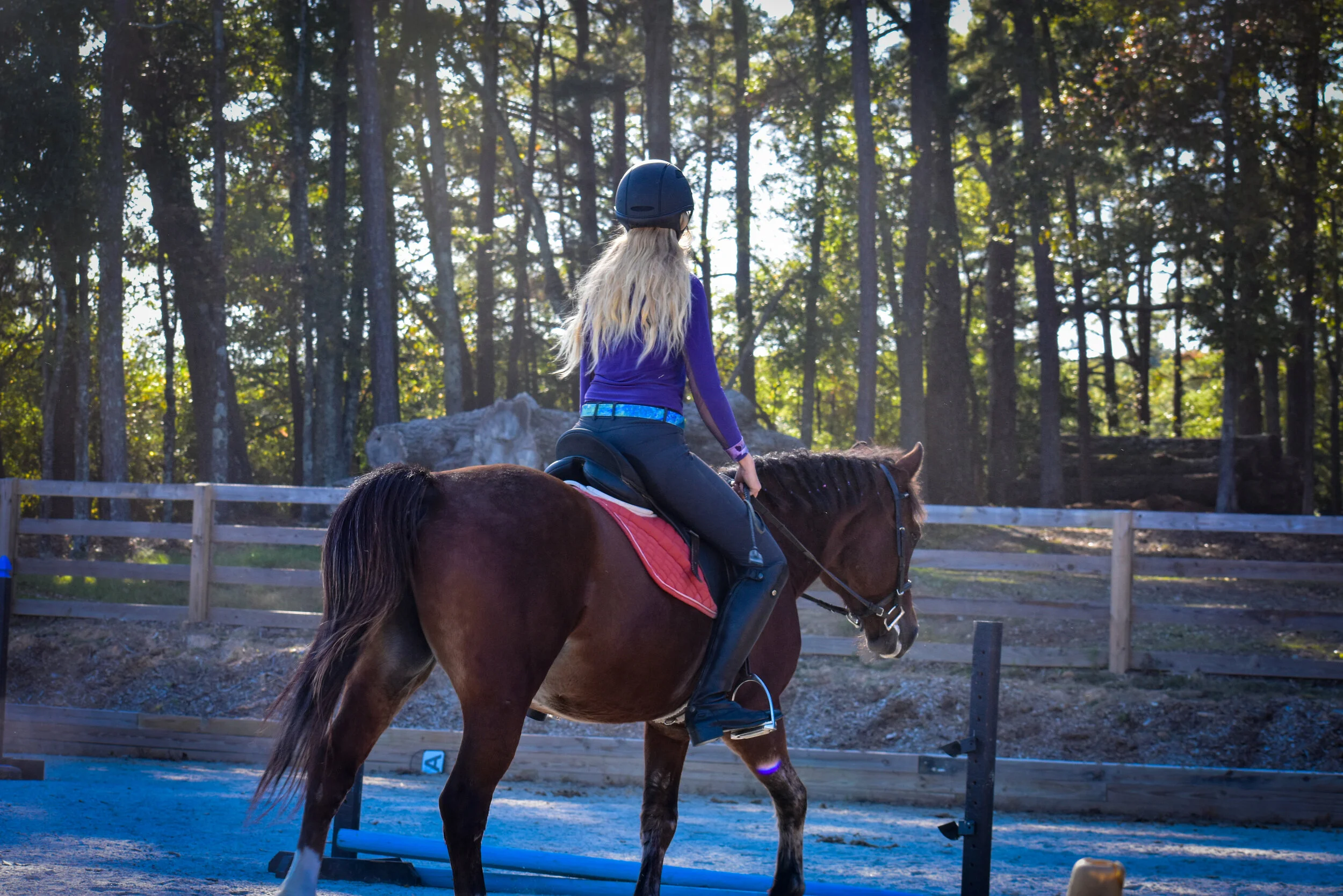 Gallery — Celestial Riding Academy