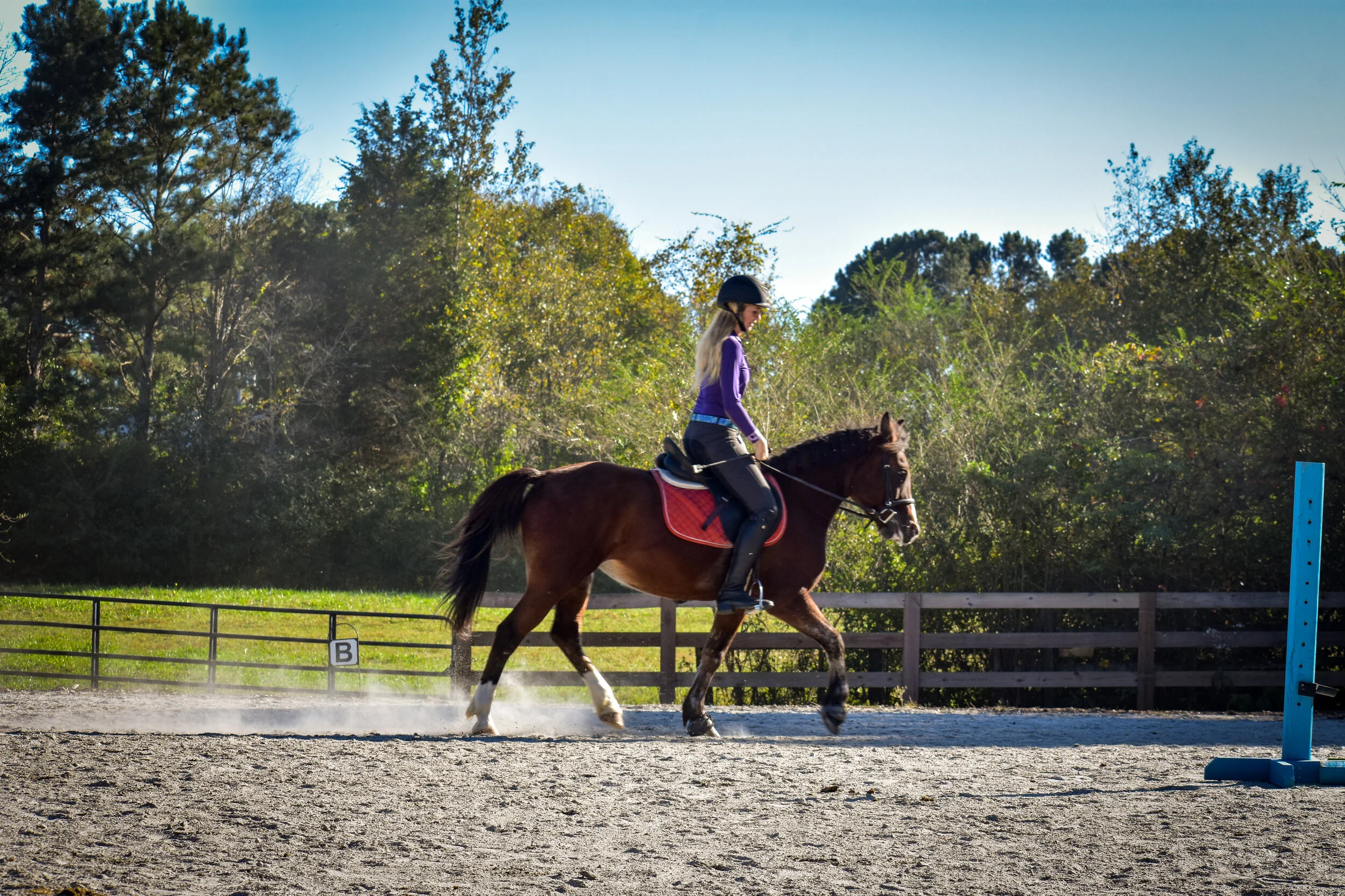 Gallery — Celestial Riding Academy
