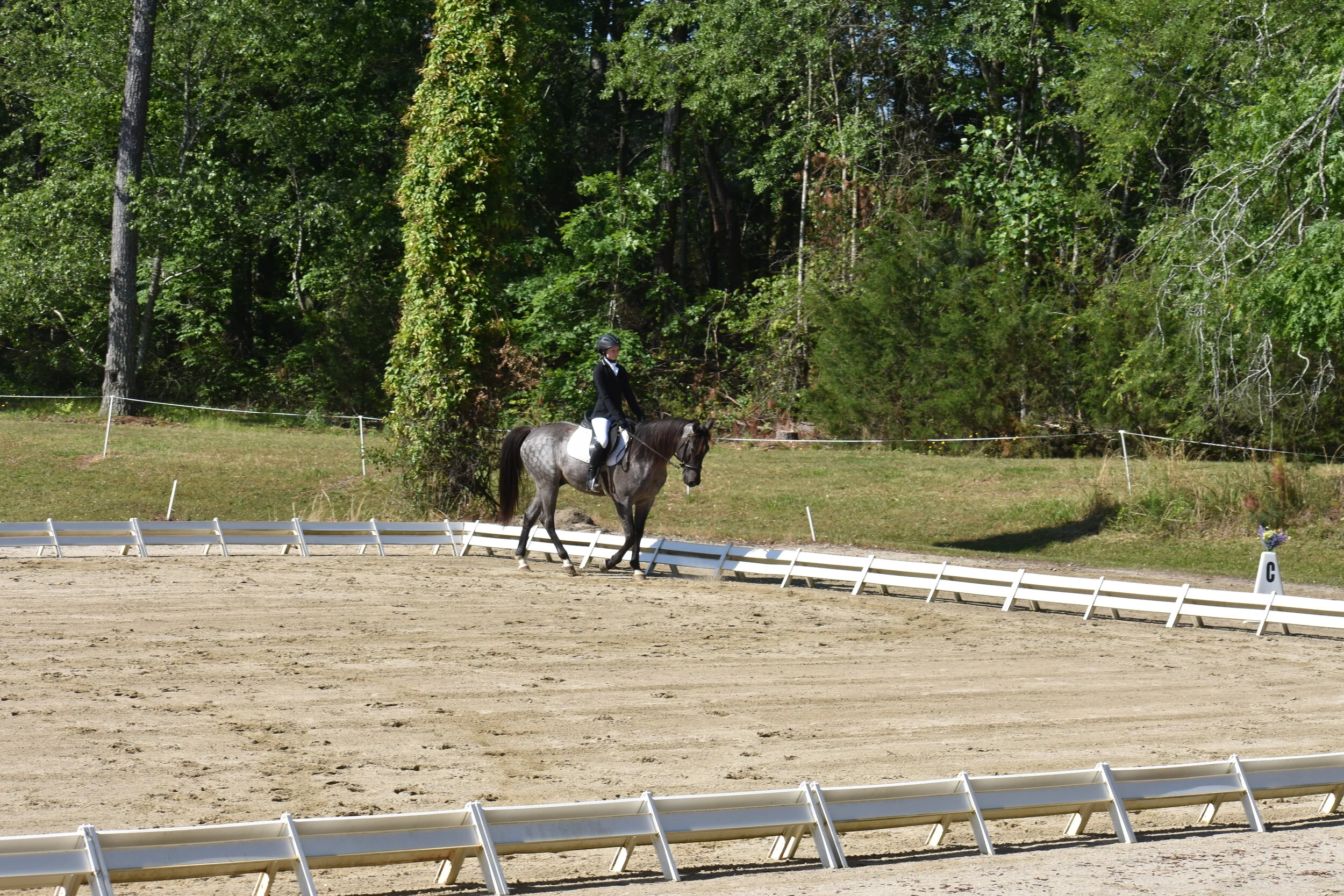 Gallery — Celestial Riding Academy