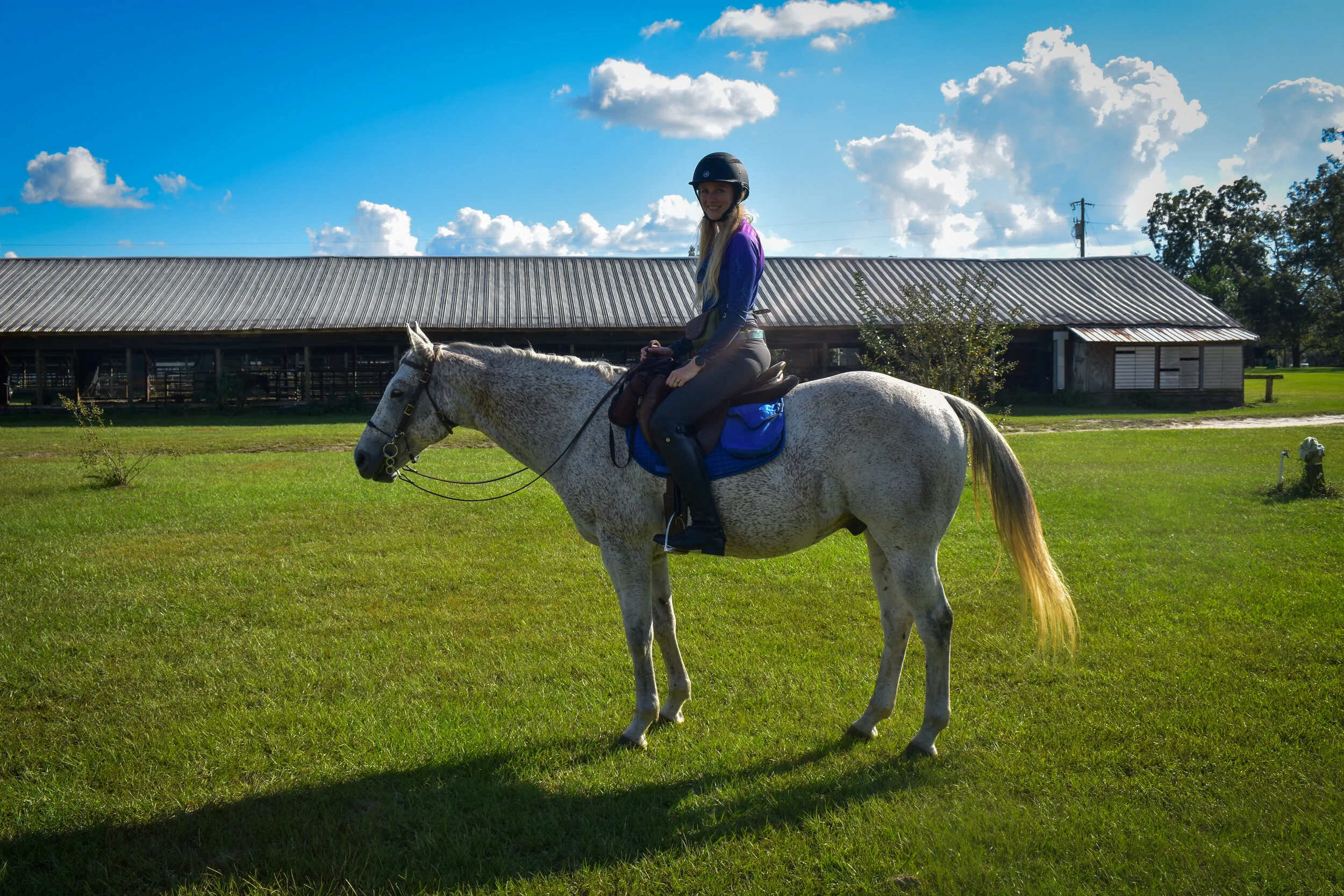 Gallery — Celestial Riding Academy