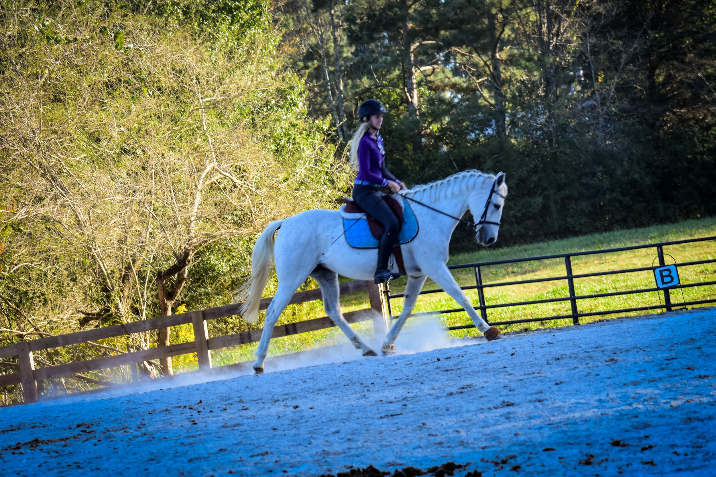 Gallery — Celestial Riding Academy