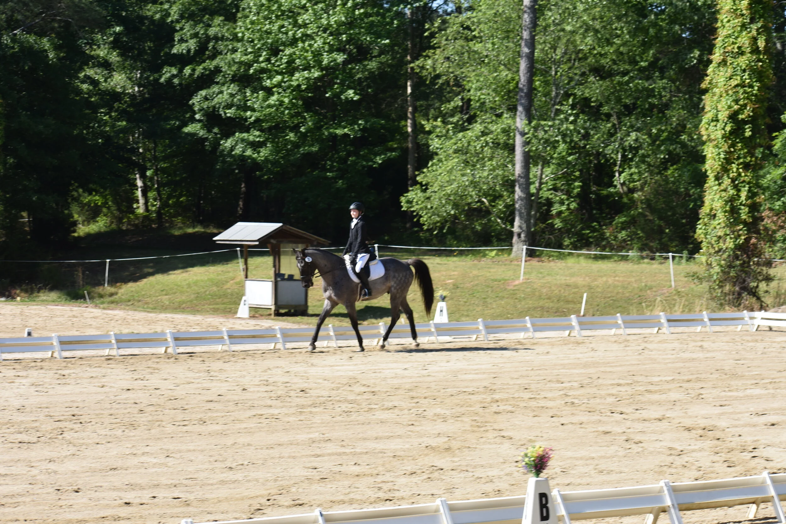 Gallery — Celestial Riding Academy