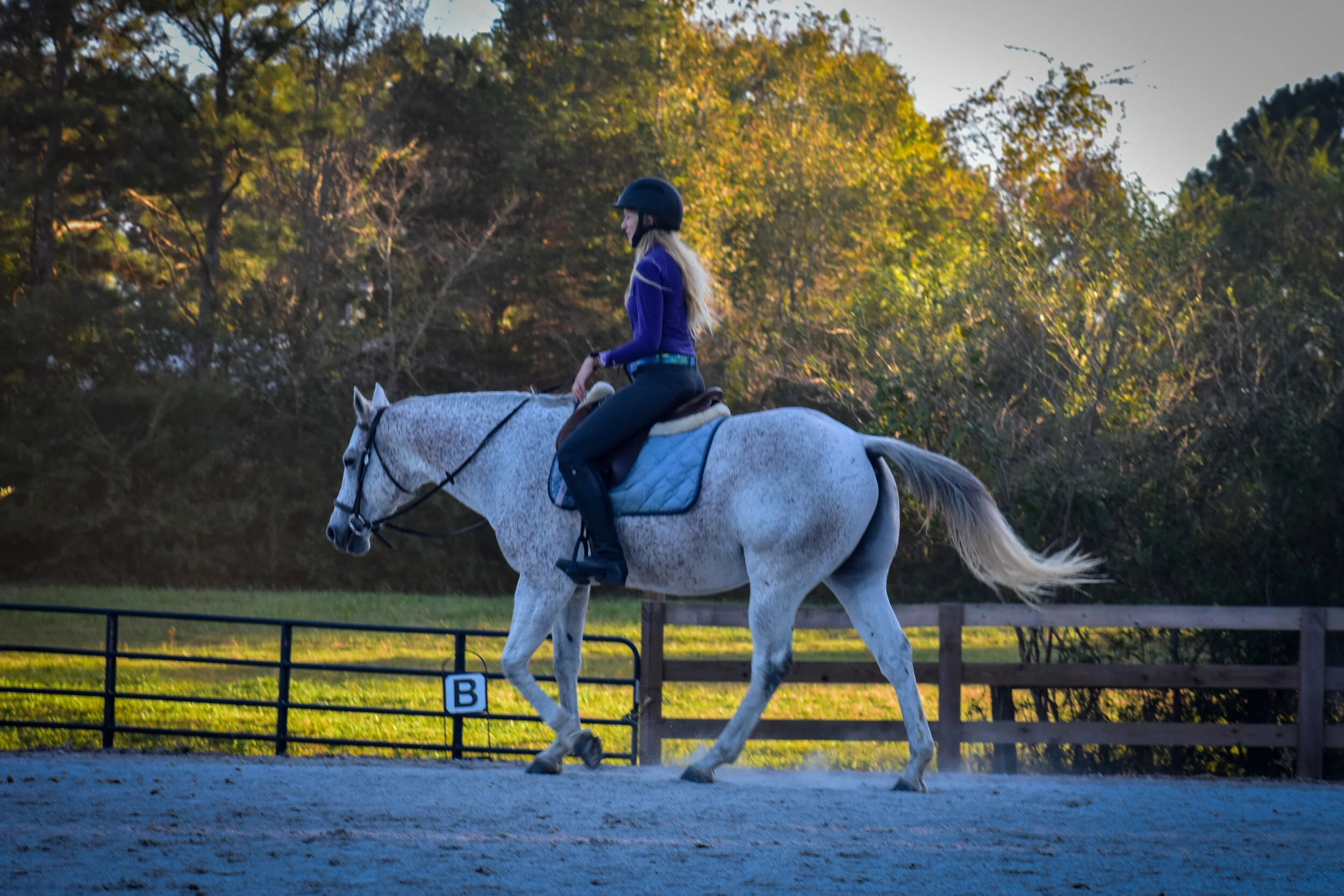 Gallery — Celestial Riding Academy