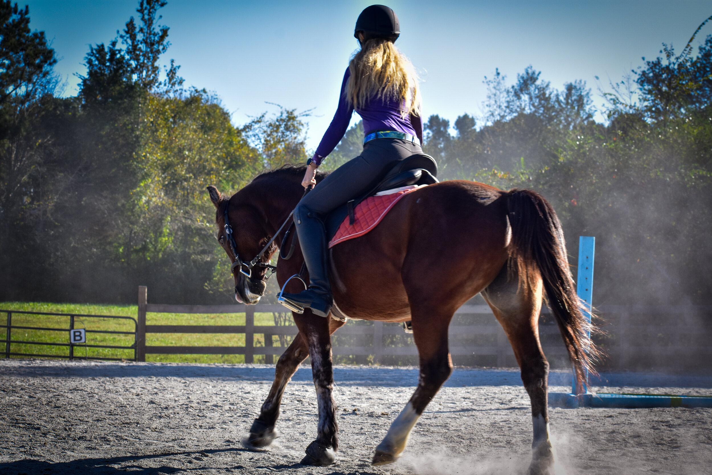 Gallery — Celestial Riding Academy