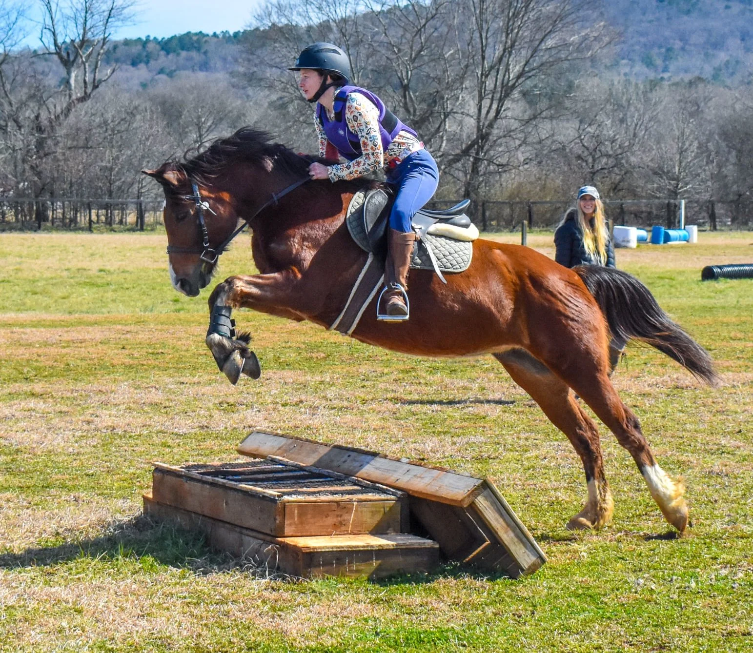 Horses — Celestial Riding Academy