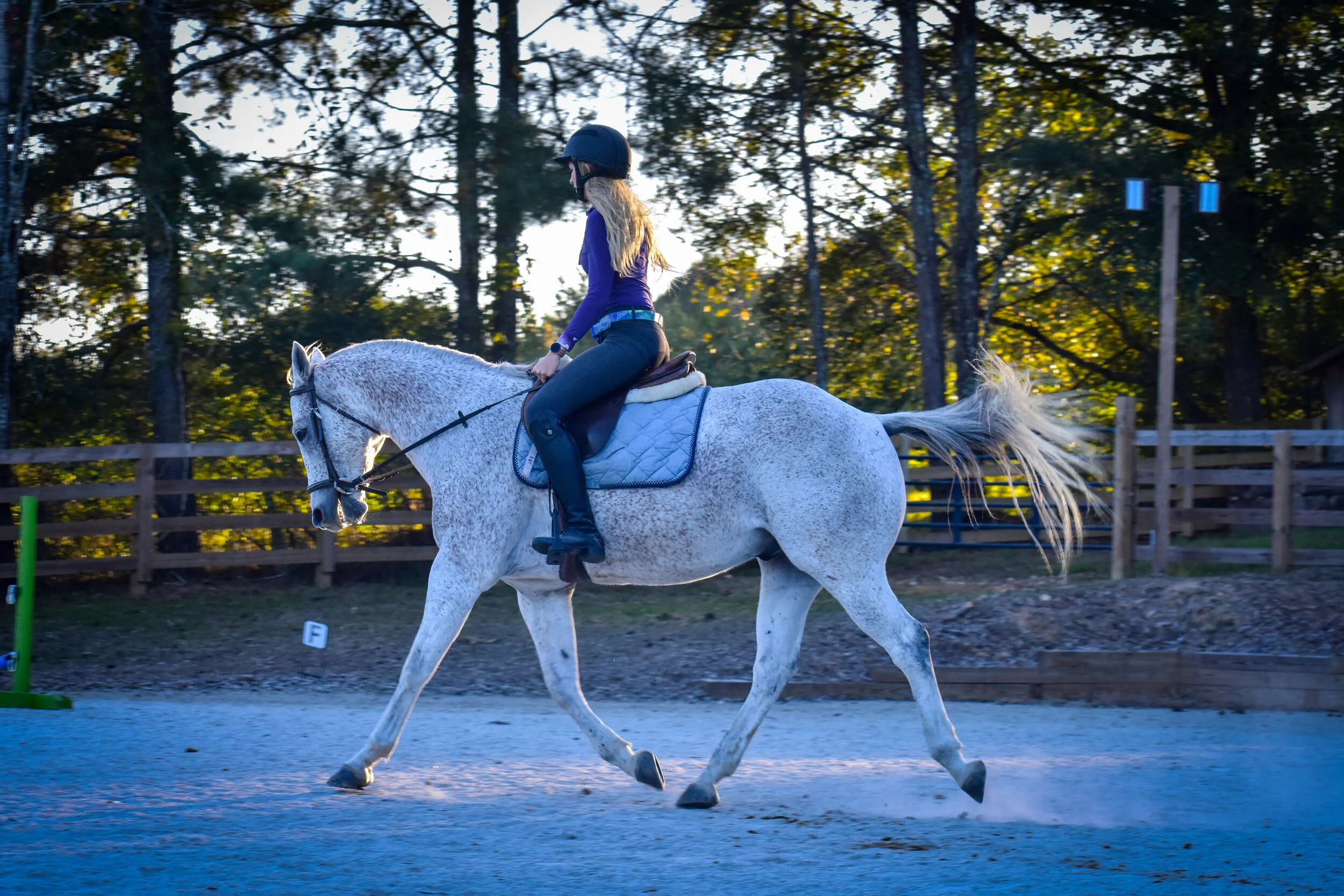 Gallery — Celestial Riding Academy