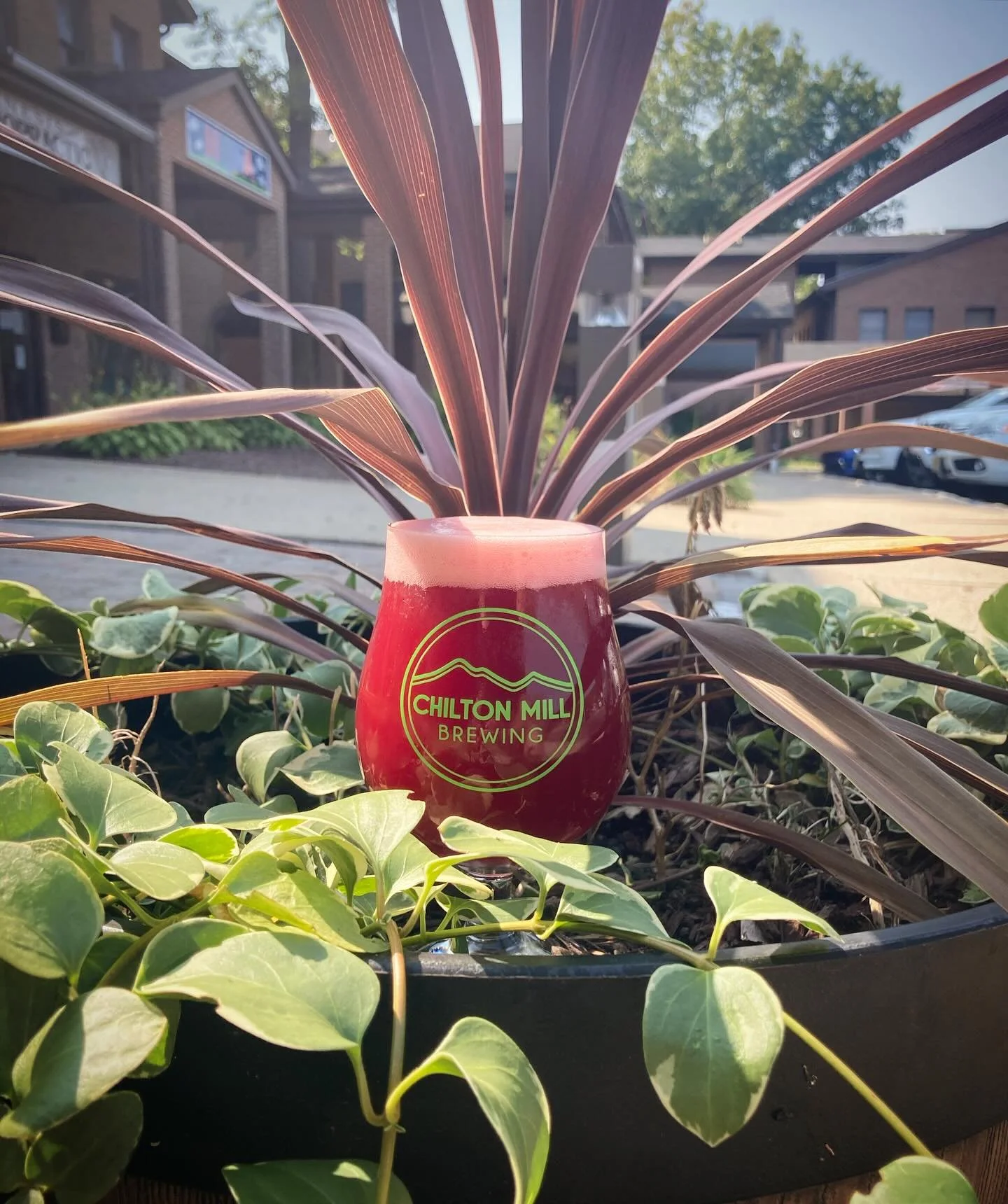 Chilton Mill Brewing