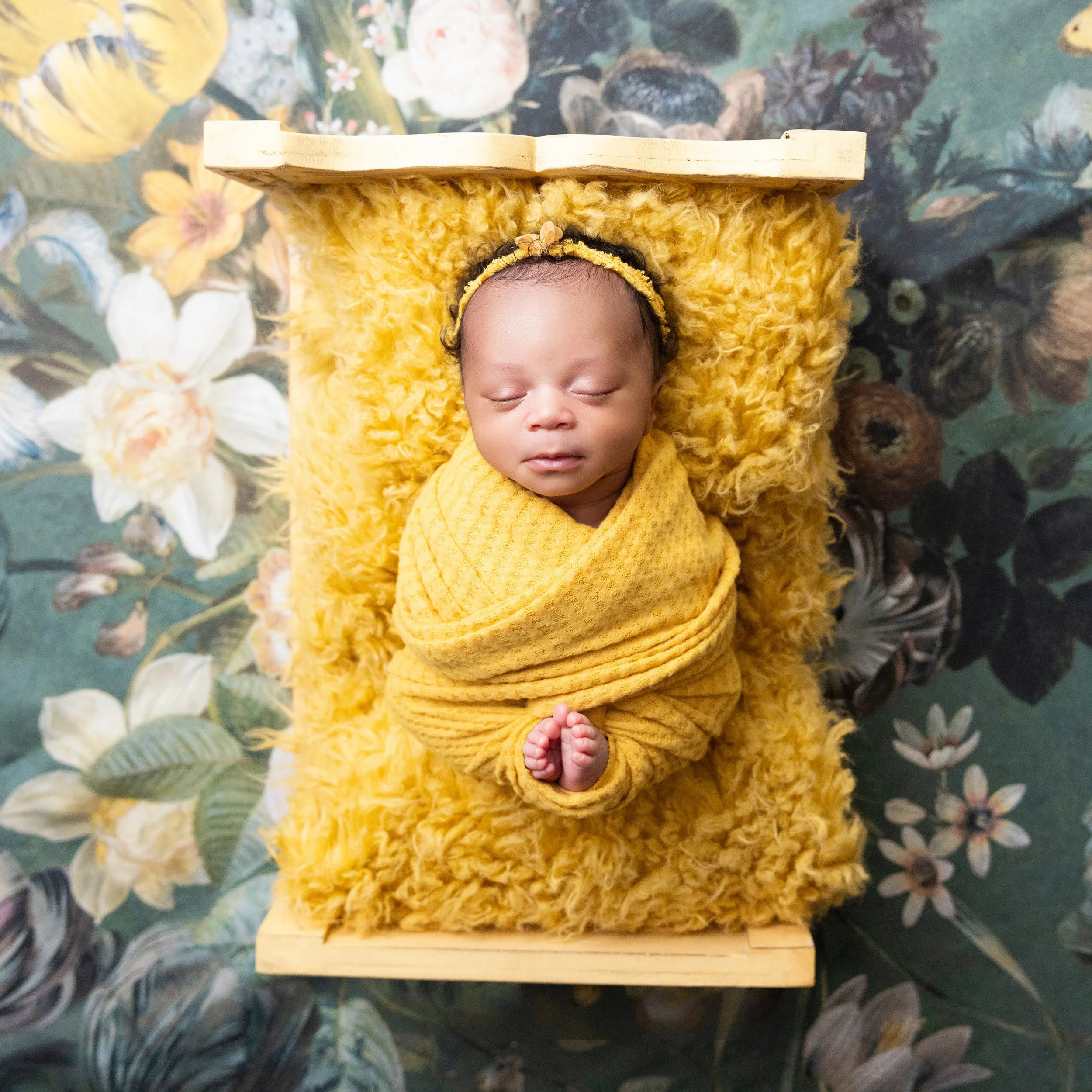 Photography Pictures Of Babies