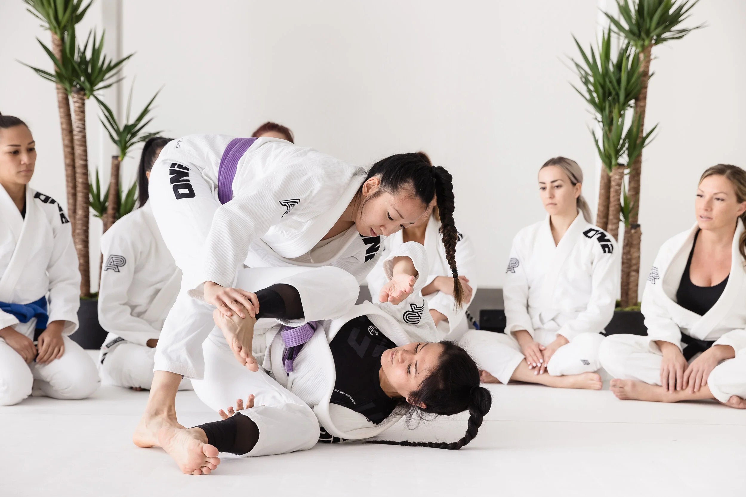 Photos — One Jiu Jitsu -Squarespace Site