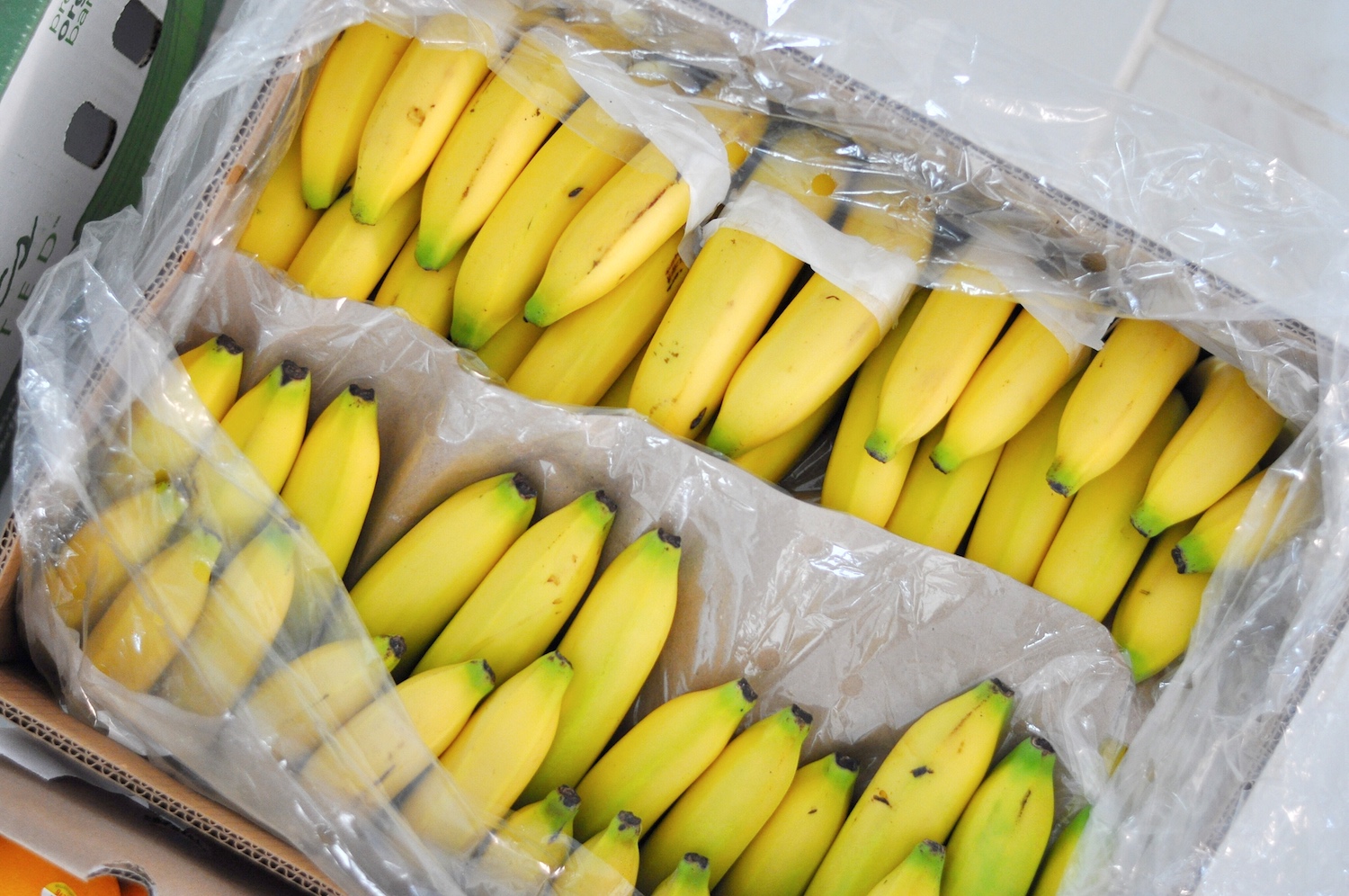 Saturday Morning Fruit Haul: Benefits Of Mono Meals + Buying In Bulk ...