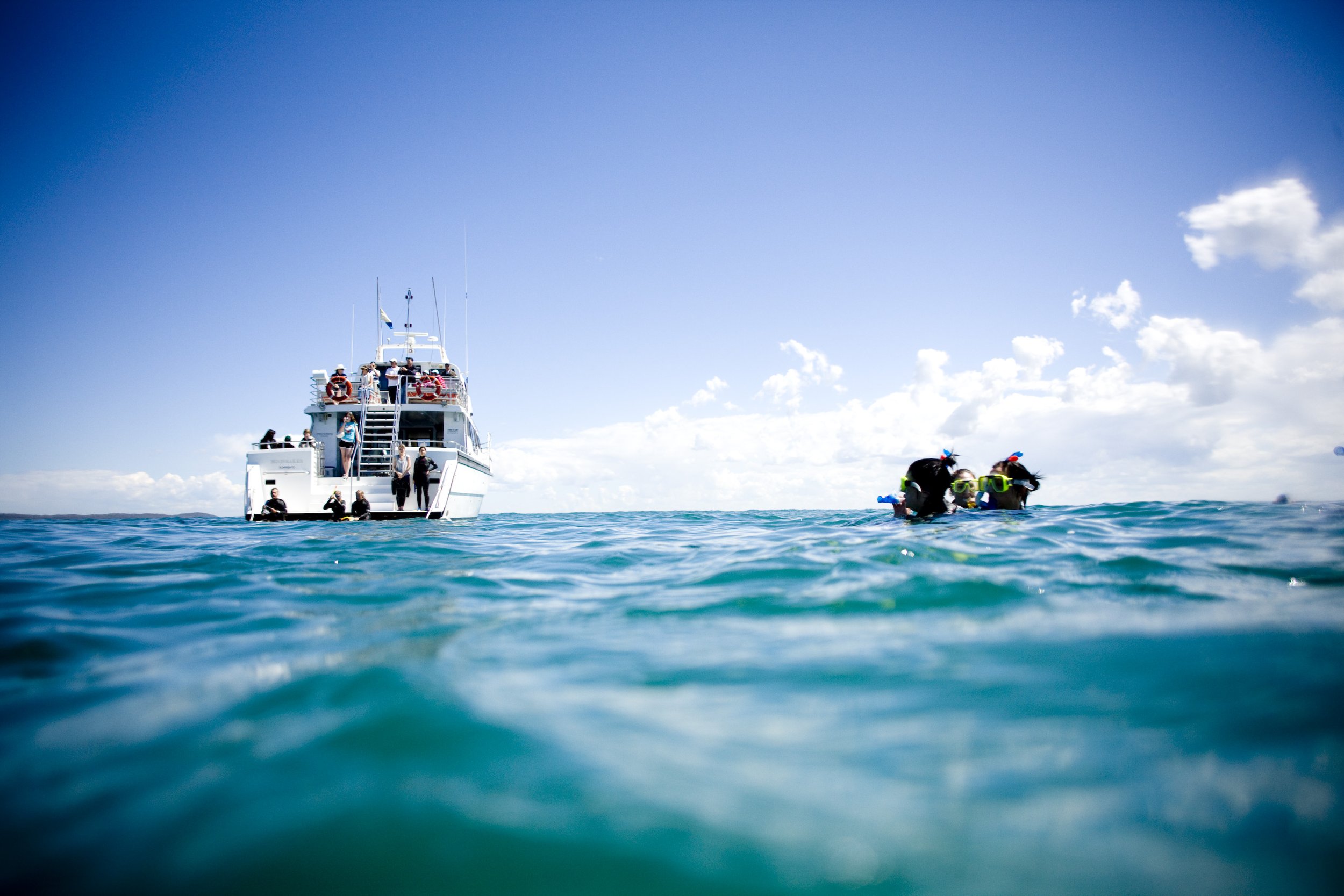 About the boat — Moonraker Dolphin Swims