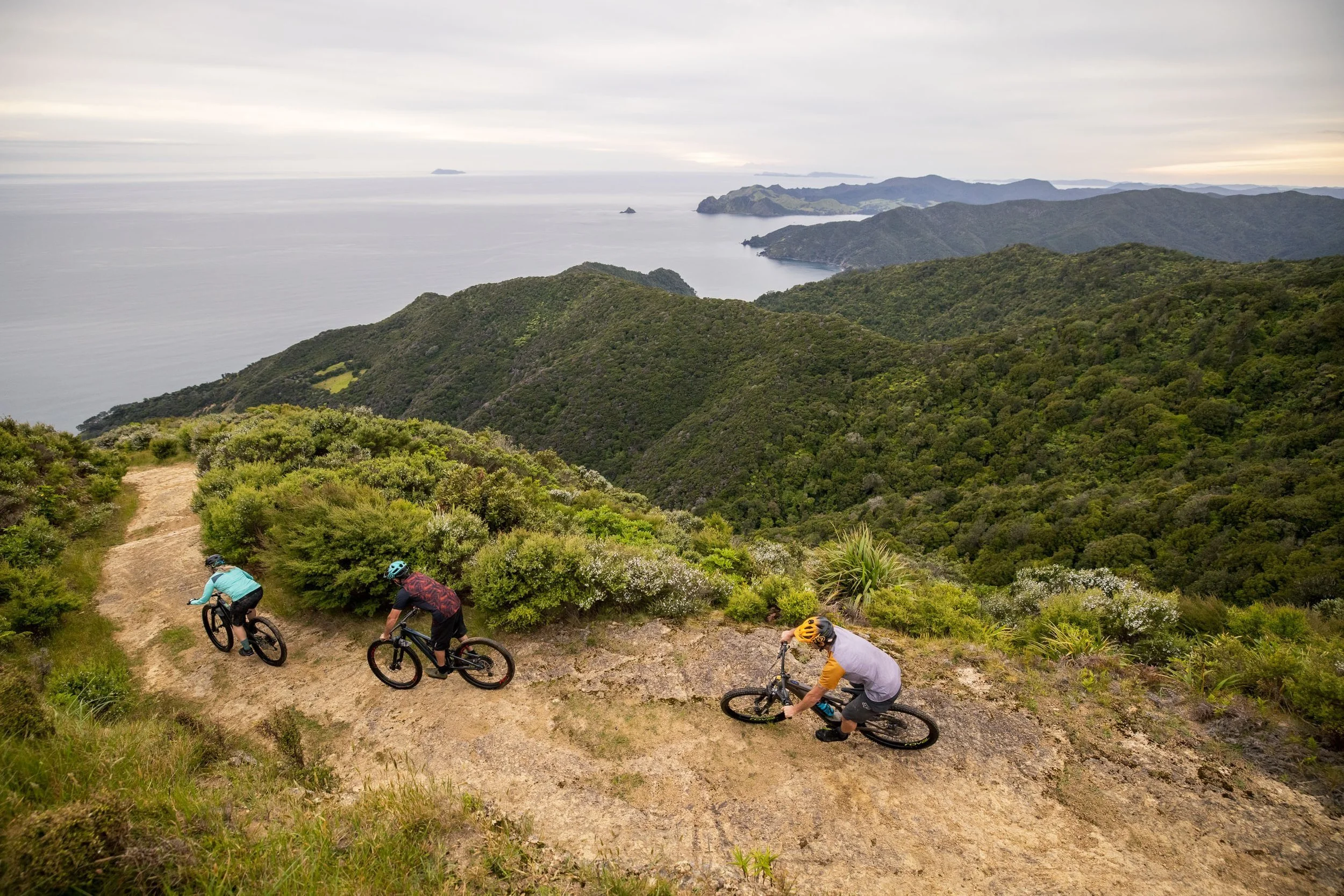 Ride Coromandel - Home