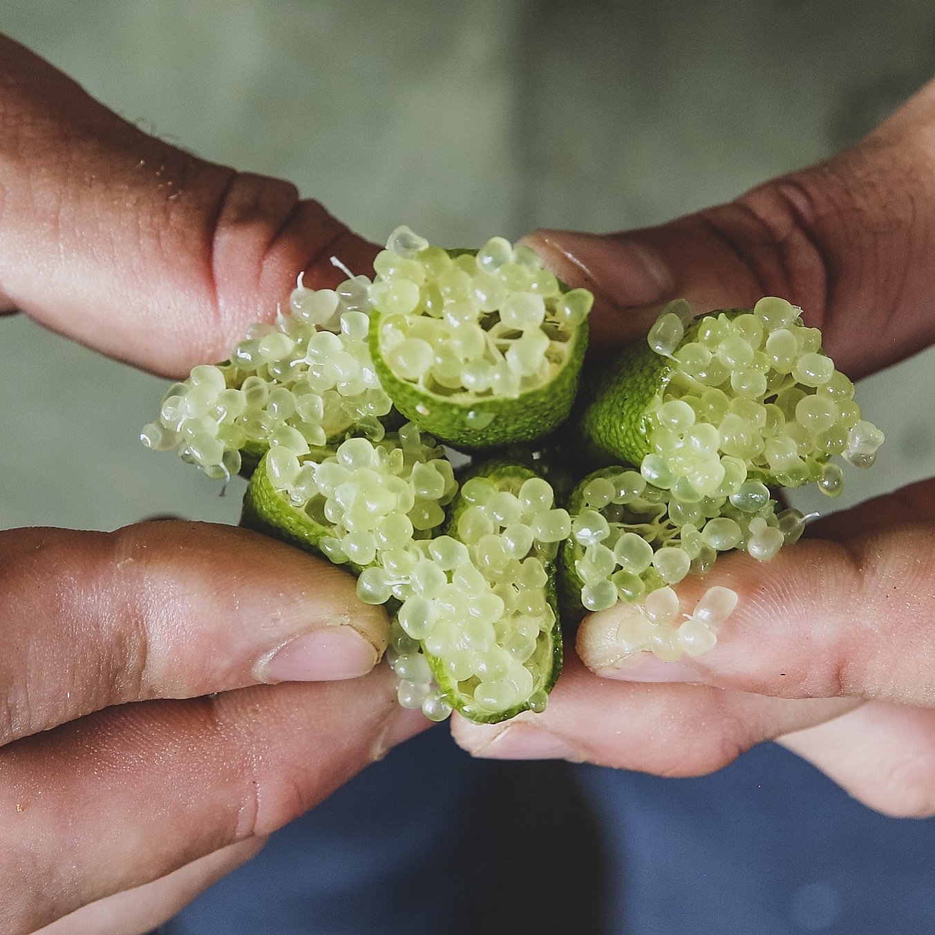 Karkalla Byron Bay Restaurant