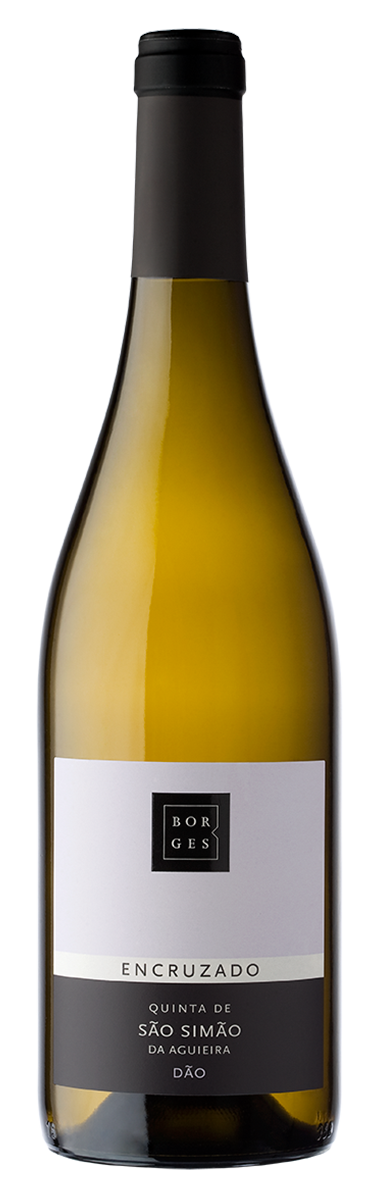 Still Wines — Borges - Vinhos