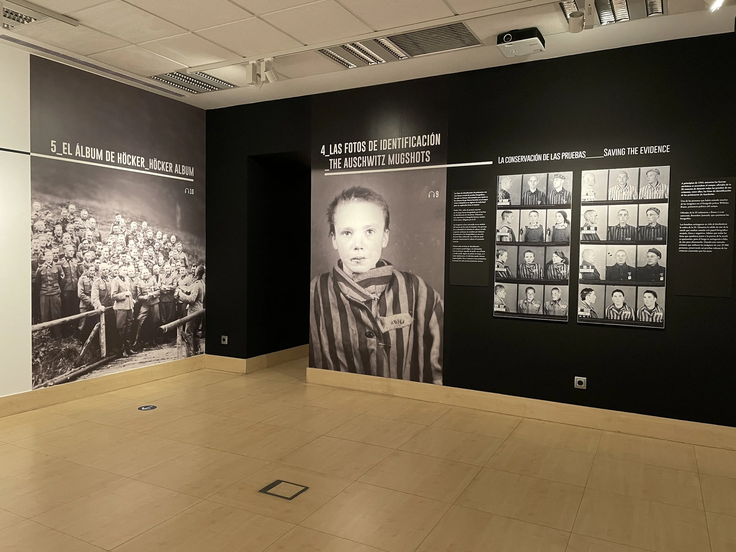Seeing Auschwitz exhibition — Paul Salmons Associates