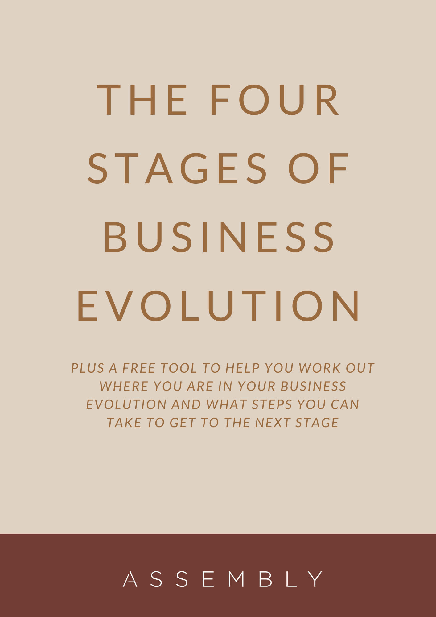 THE FOUR STAGES OF BUSINESS EVOLUTION — MEL WIGGINS