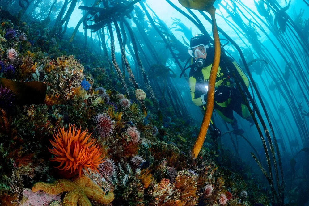 The Best Off-The-Beaten Track Experiences in Cape Town — inVOYAGE