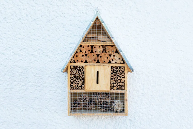 Why and How to Build a Bee Hotel — Blume Honey Water
