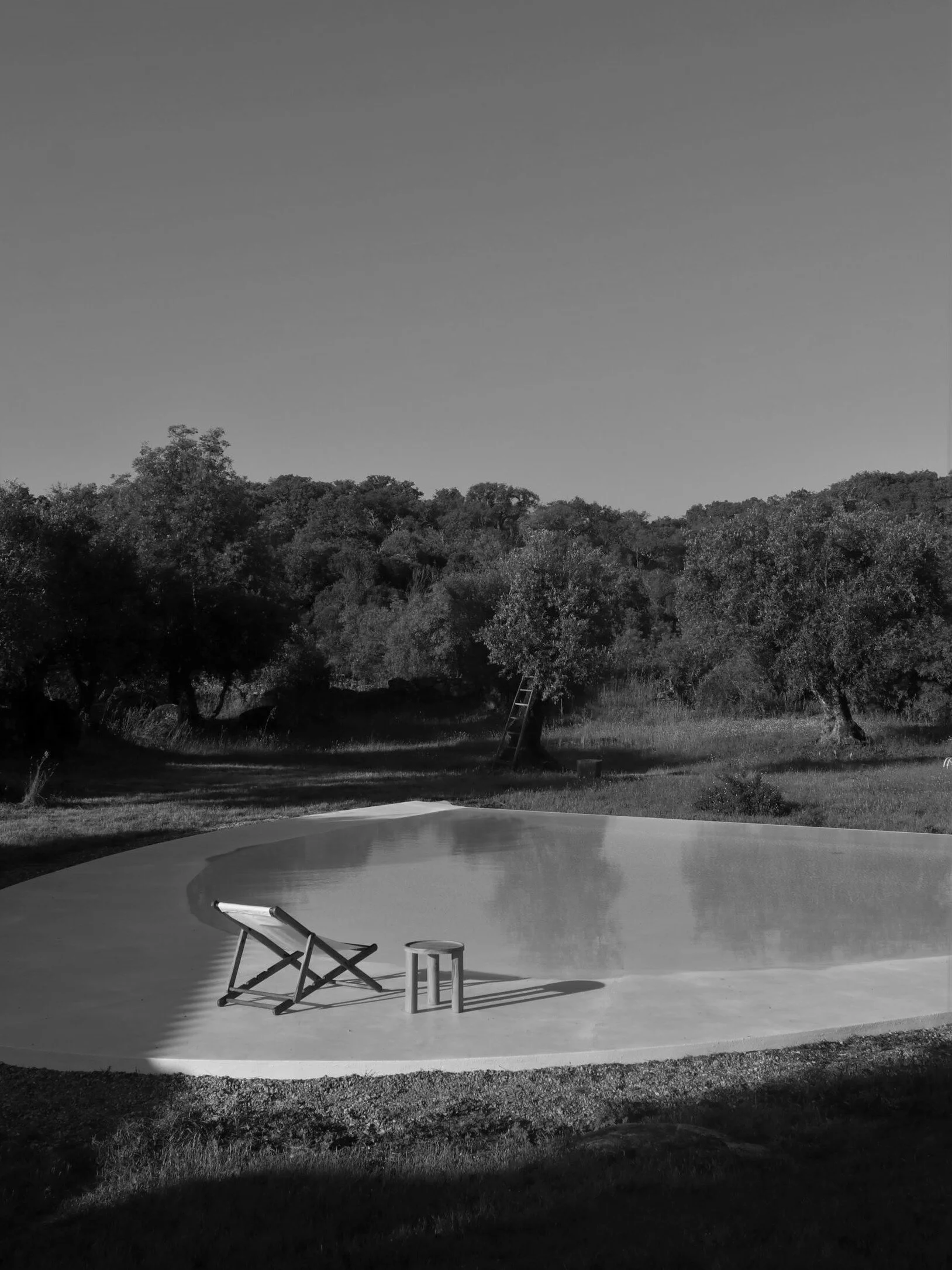 Silent Landscape — FORESTA