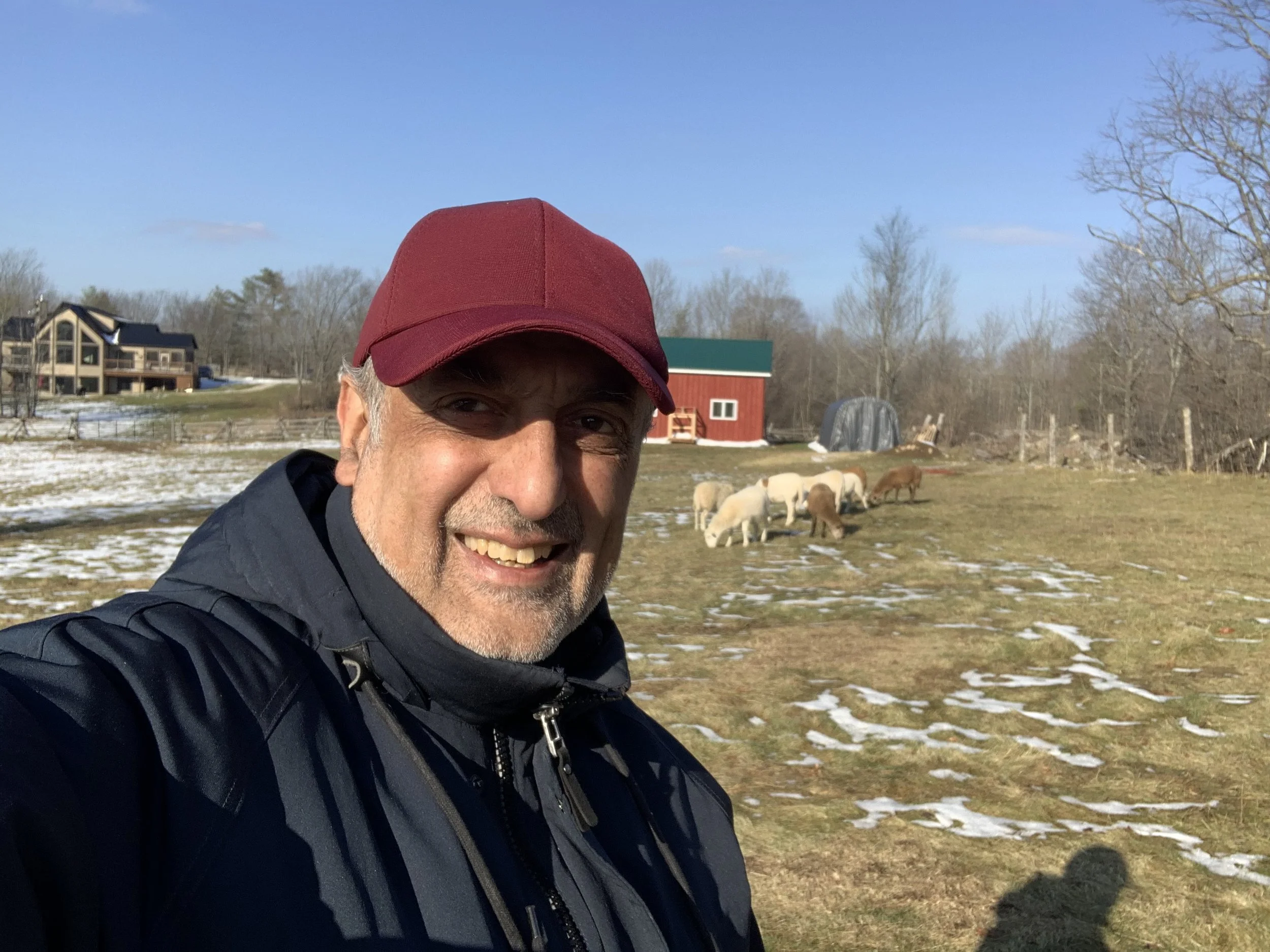 Firdosi Mehta — MultiPod Mentoring