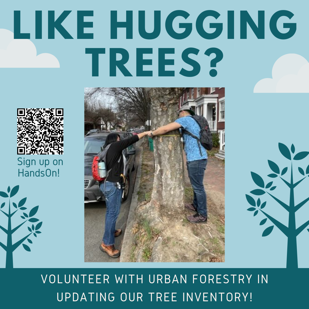 Events — Southside ReLeaf