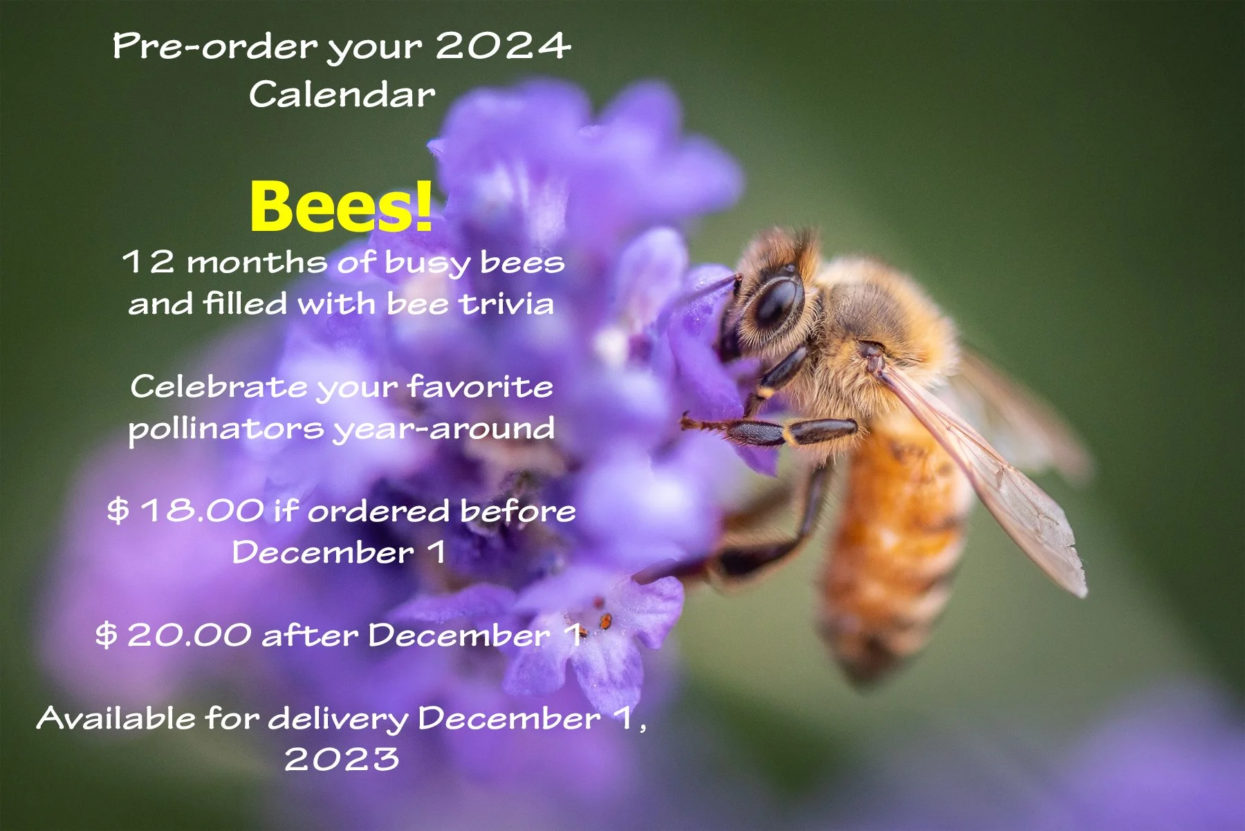2024 Calendar Bees Scott Butner Photography LLC 2024-calendar-bees-scott-butner-photography-llc