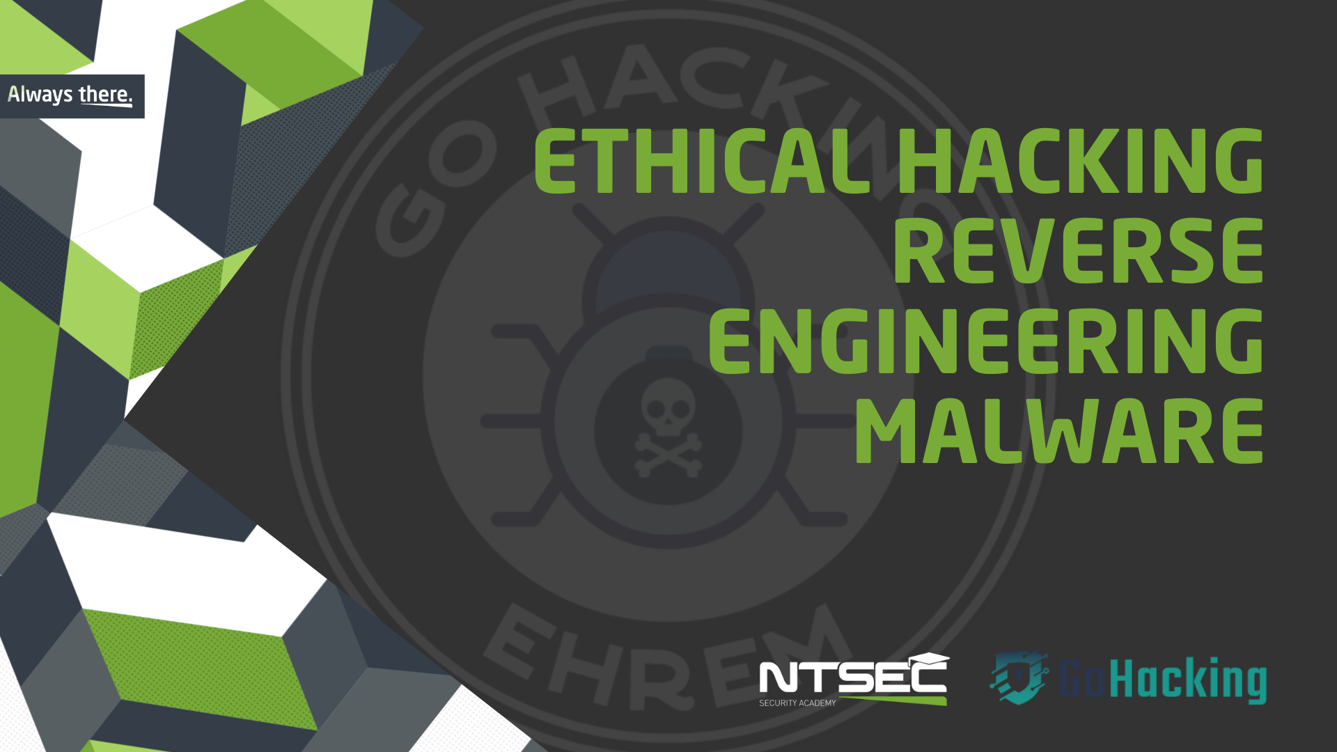 Ethical Hacking Reverse Engineering Malware - EHREM — NTSEC