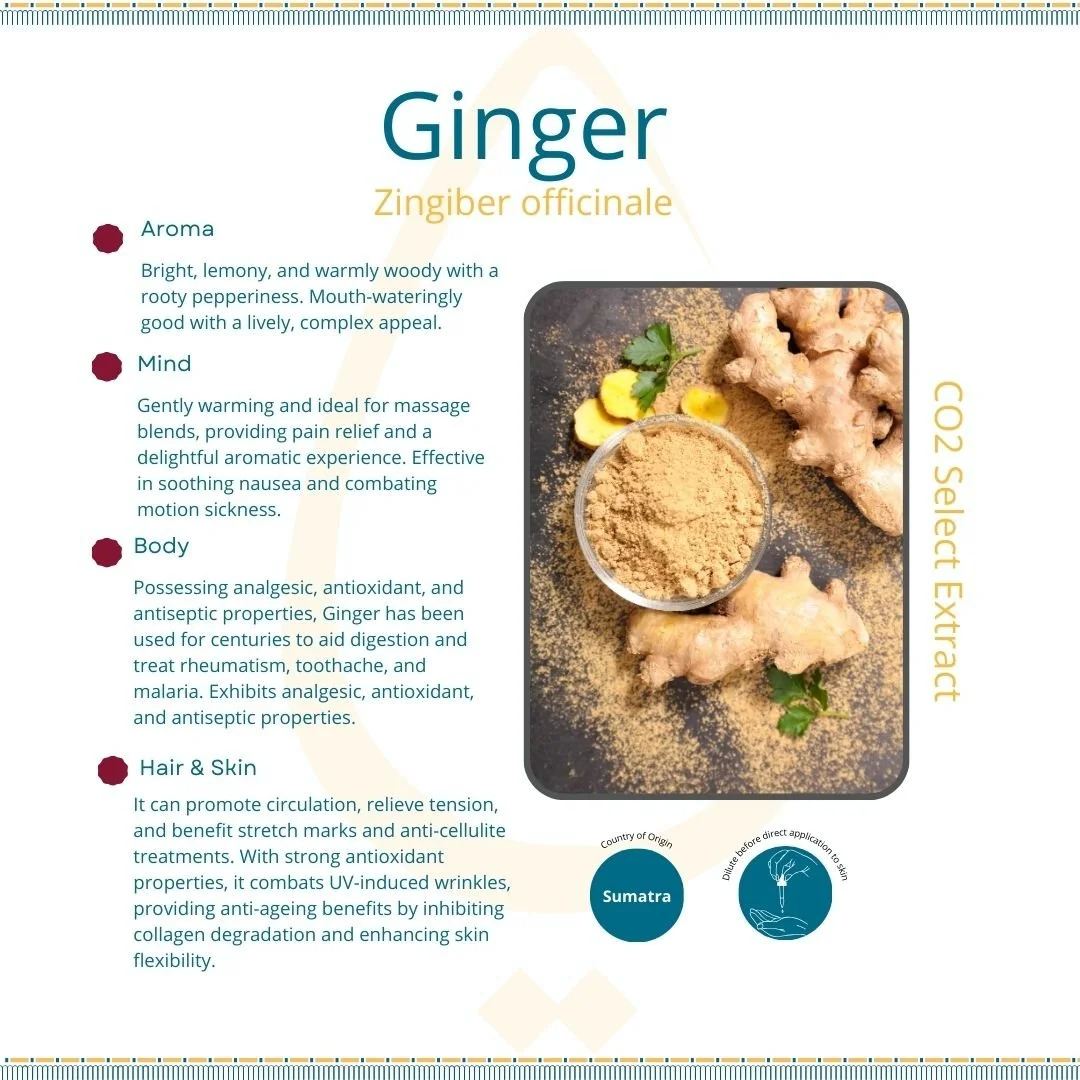 Yatlina Aromatheraphy by Yasmine ElGhamrawy