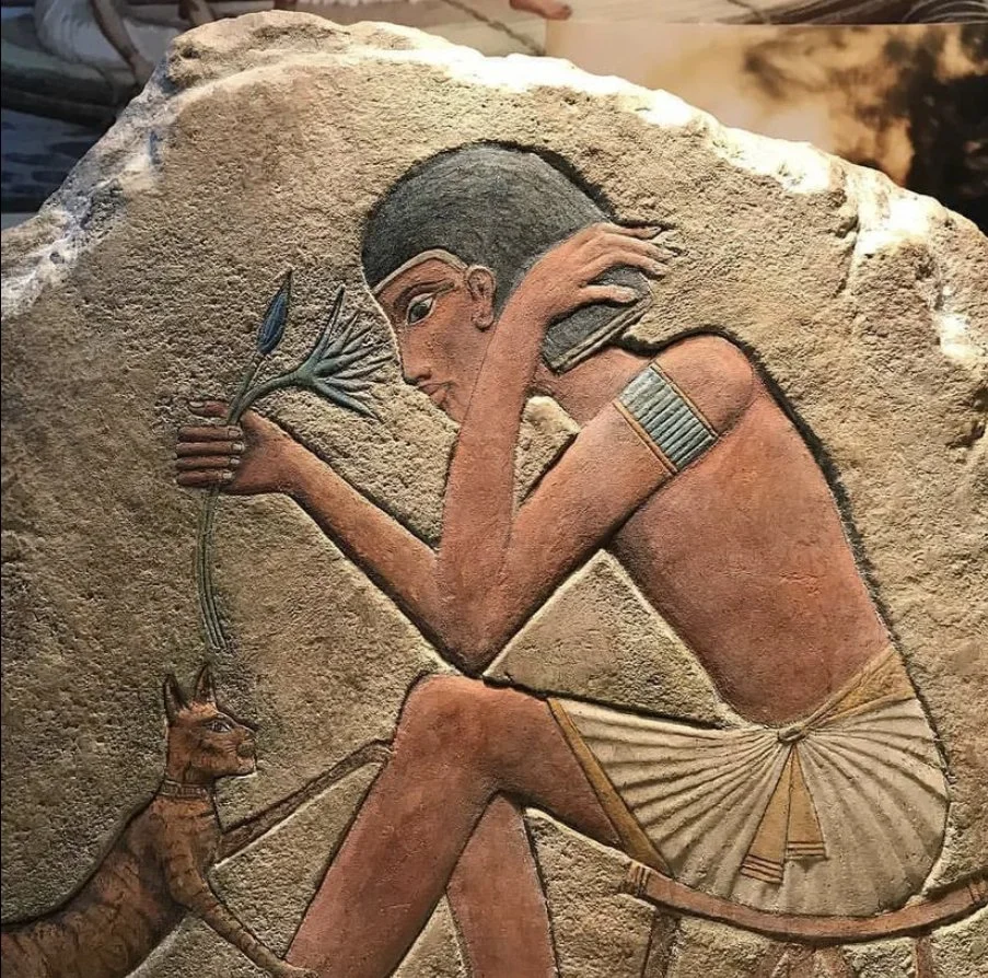 Yatlina Aromatheraphy by Yasmine ElGhamrawy