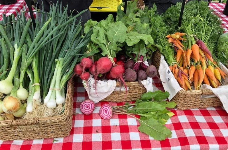 Fresh Veggies - Garden-Ready Vegetable Plants - Shields River Farm ...