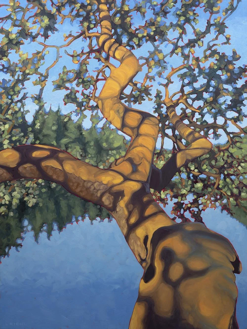 Lisa Riehl - West Coast Landscapes