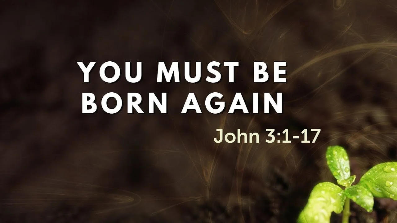 Being Born Again — Robbie Pruitt