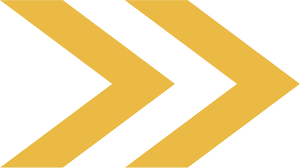 RISE Model for Meaningful Feedback