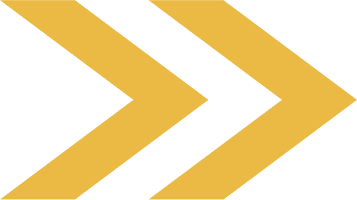 RISE Model for Meaningful Feedback