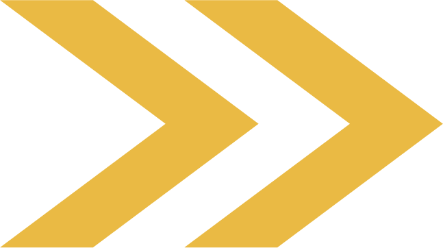 RISE Model for Meaningful Feedback