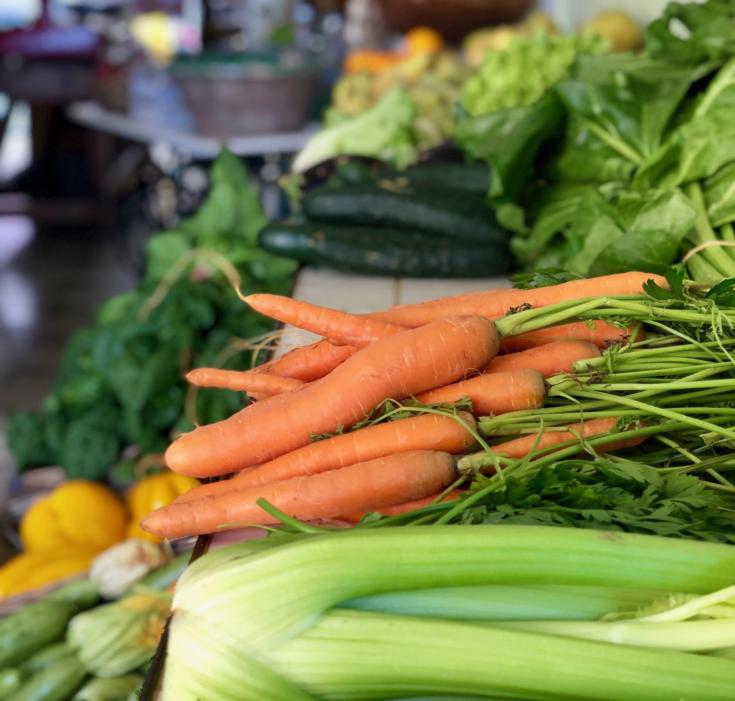 Services 2 — Kylee Snyder