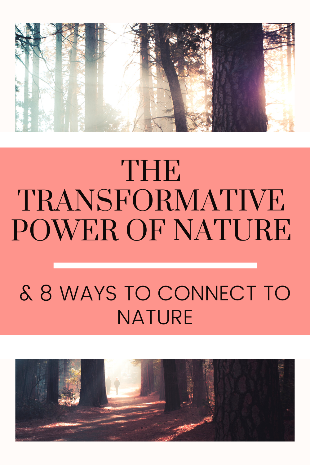 The Transformative Power Of Nature And 8 Ways To Connect — Energy With Ryan