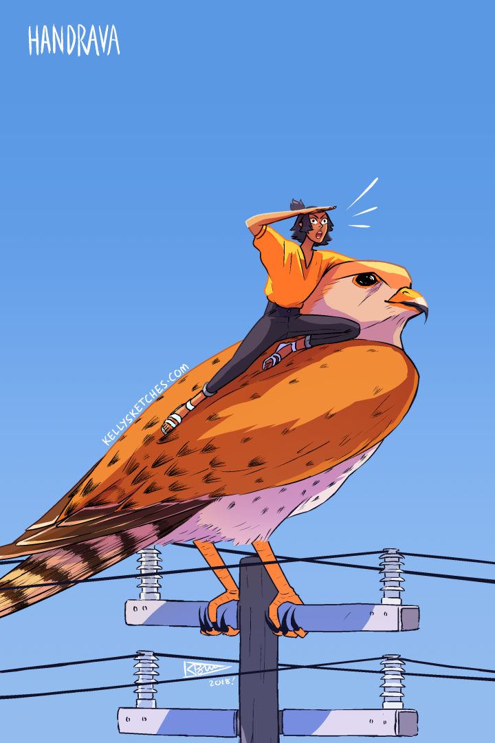 Illustrations — Kelly Bull